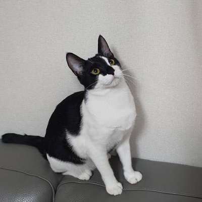 crAy – 노마드 코더 Nomad Coders