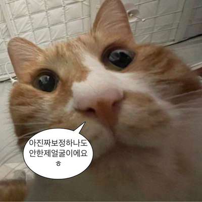 박인혜 – 노마드 코더 Nomad Coders