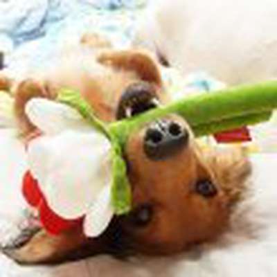 동현 – 노마드 코더 Nomad Coders